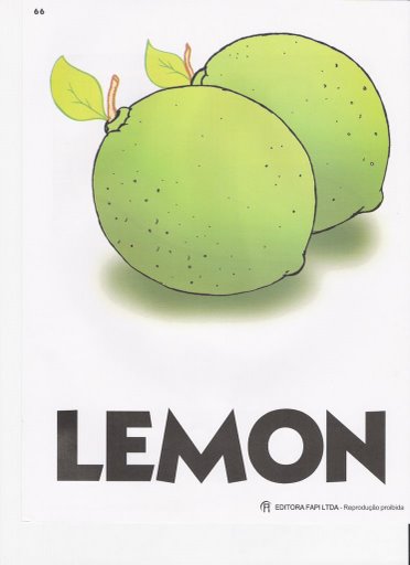 FLASH CARDS INGLES VOCABULARIO