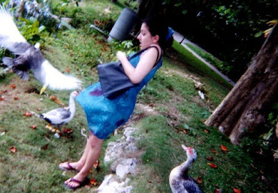Salty Snaps Shots and the Whatnot: When Ducks Attack - Me in Sans Souci, Jamaica