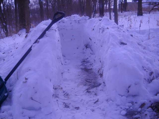 The Snow Trench | Survivalist Forum