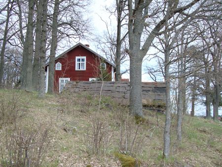 Tomfat på tak | Mitt Universum