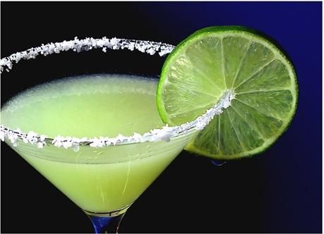 @@معلومات عن شجرة اليمـــــــــــــون@@ | القاموس الزراعي