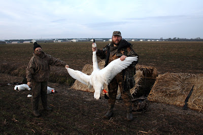 6th Annual Tundra Swan Hunt a Huge Success