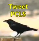 PCLS: N, V, I & U: PCLS Interview: Ilene Rogers Tyler