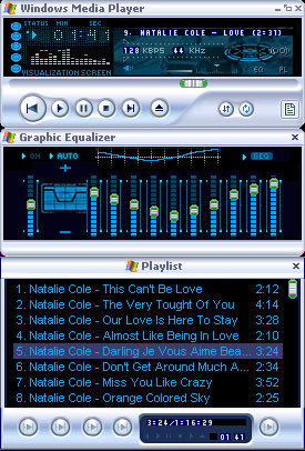 Winamp Classic Skins