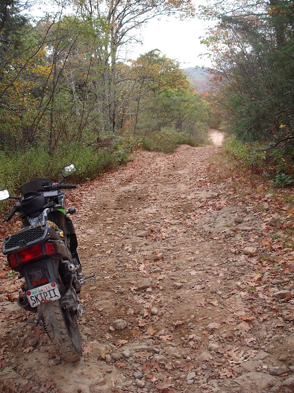 Shenandoah 500 pics- TONS! | Adventure Rider
