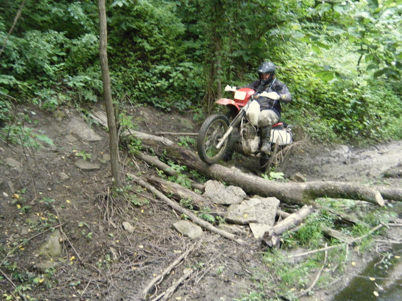 Post your best log crossing pics | Adventure Rider