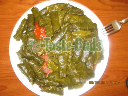 Taste-Buds Lebanese Vacation – The Taste-Buds