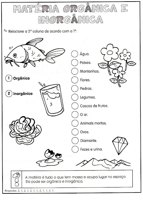 ACTIVIDADES DE CIENCIAS PARA NIÑOS