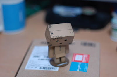 CHYUANYANG'S WORLD: DANBOARD amazon box version mini