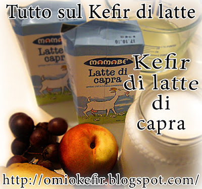 Produzione del kefir con il latte di capra: gusto antico
