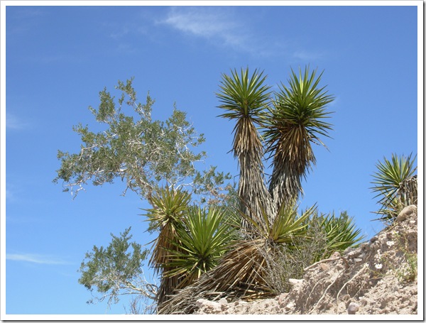 El Biker Solitario: Reconocimiento de Circuito Boca del Datilar
