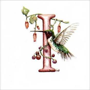 Alfabeto retro de colibrís. - Oh my Alfabetos!