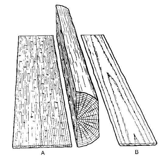22+ Tren Sketsa Gambar Pohon Kayu