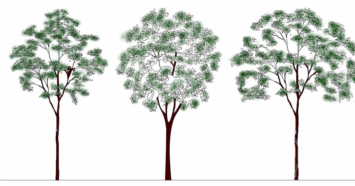 Tree CAD Blocks - Elevation - Tree 3 m - 001 - Free 2D/ 3D AutoCad ...