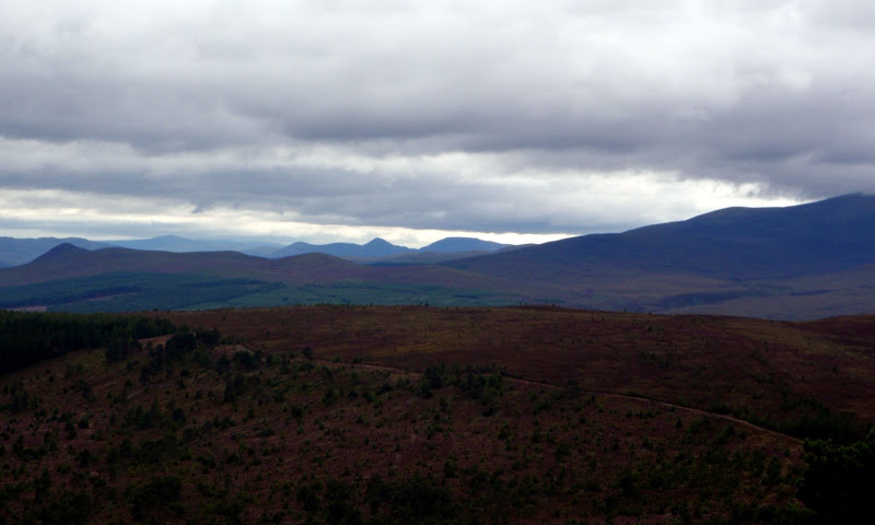 Walk Report - Fyrish Monument, near Alness (Cnoc Fyrish) • Walkhighlands