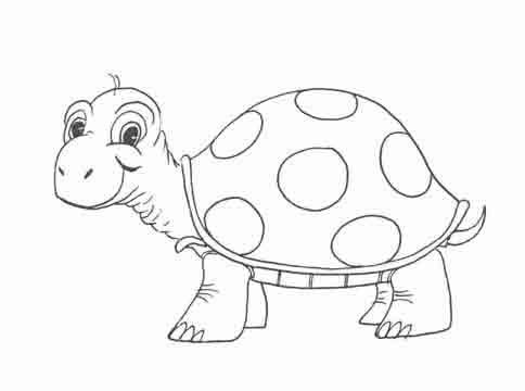 Turtle - free coloring pages | Coloring Pages