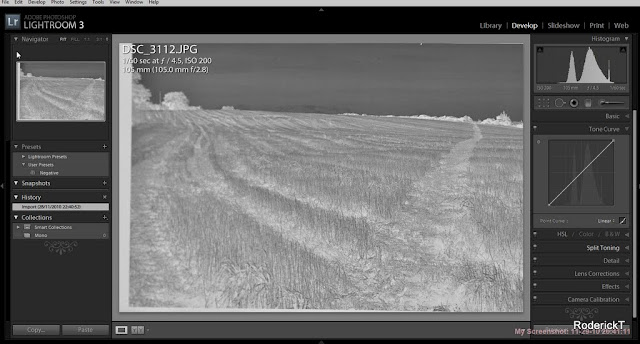 Photography - Rod's Notes: how to process negative images using tone ...