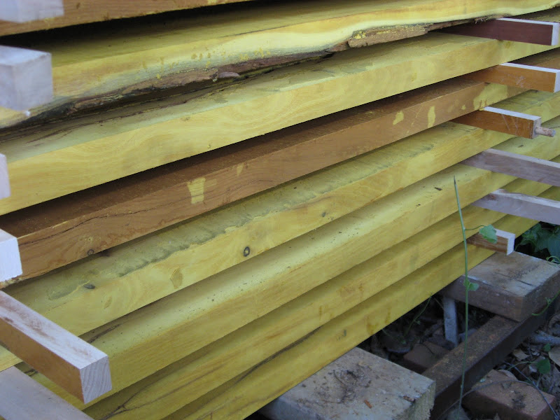 Osage Orange Journey | LumberJocks Woodworking Forum