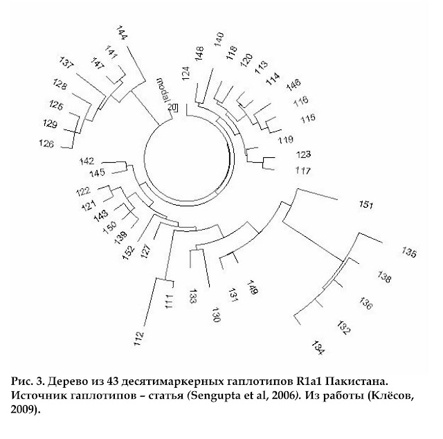 Расология, Антропология, Генетика : Еще одно доказательство перехода ...