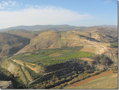 Israel and Jordan: Tuesday December 15: Jarash