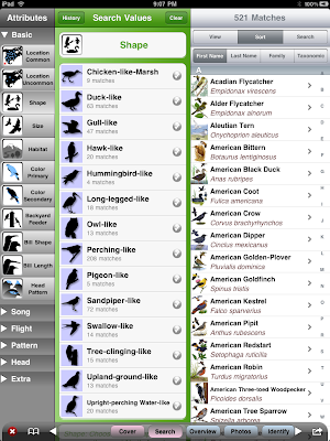 Birding Is Fun!: Review: iBird Pro HD for iPad by Jim Lyons