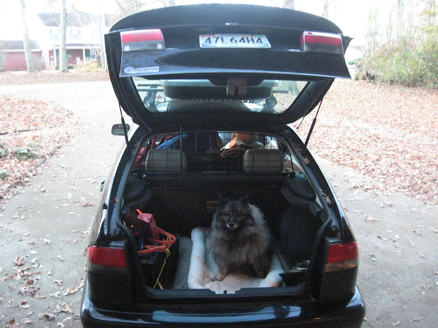 Review: Thule Evolution 1600 cargo carrier | Saab Link Forums