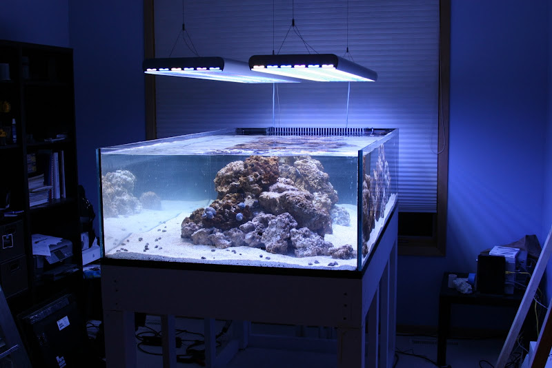 Large Build - agent462's 220 rimless shallow peninsula reef | Page 2 ...