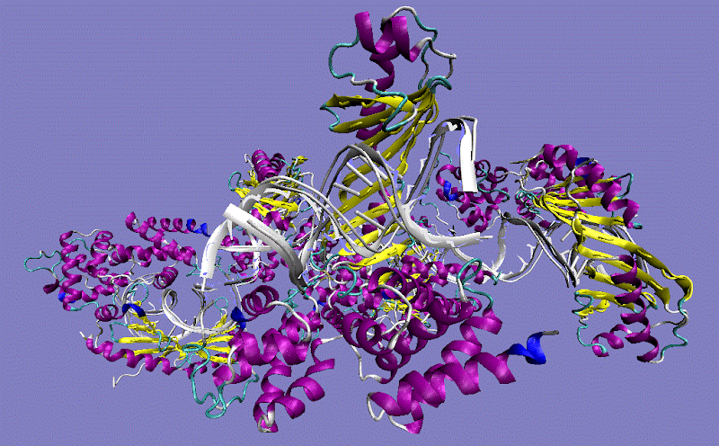 VackvSuG: TBP TATA sequence-binding protein-containing complex TFIID