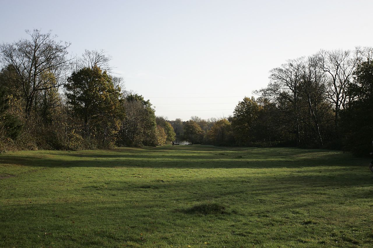 Wanstead Birder: Wanstead Park, part 2