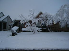 Snowmageddon in Texas | The Acuff Zoo