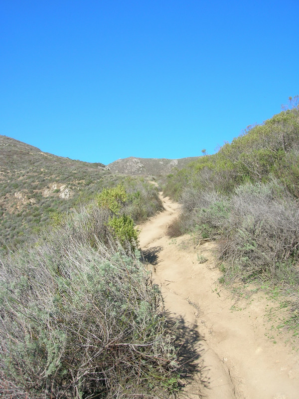 Garrapata State Park – Rocky Ridge and Soberanes Canyon – Leor Pantilat ...