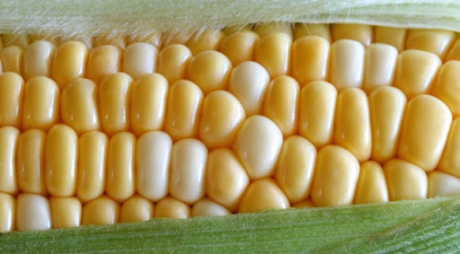 Sopa crema de choclo - Recetas de Cocina