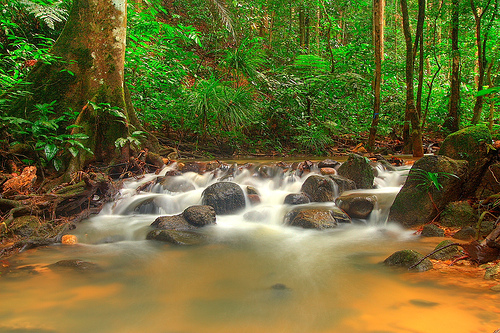 34 Wonderful Examples Of Nature Photography