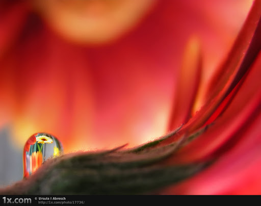 30 Breathtaking Examples Of Drops Photography