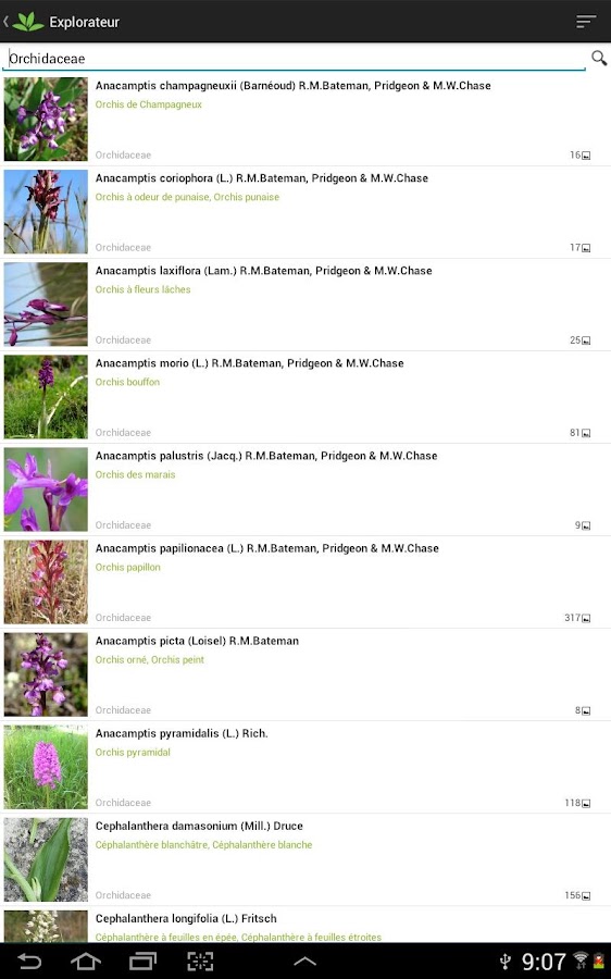 PlantNet Identification Plante – Applications Android sur Google Play