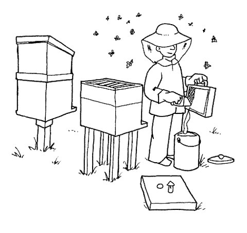 Dibujos de miel de abeja para colorear - Imagui