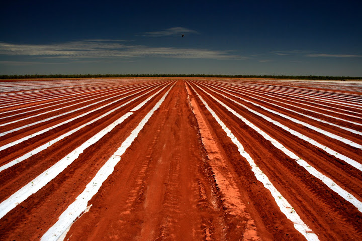 Red Dirt Farm | The Photography Forum
