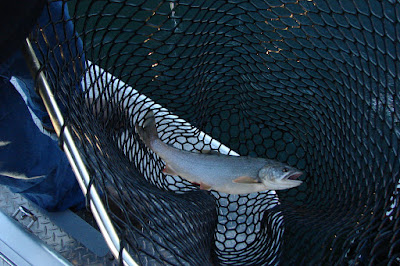 Monty's Trophy Trout Guide Fishing Flaming Gorge 801-430-0232