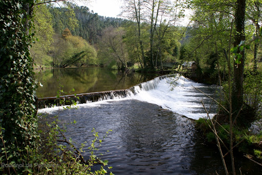 O Vale do Rio Alva - O Rouxinol de Pomares