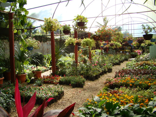 LAS HEBRAS DEL CORAZÓN: ~+:.Viveros.:+:. de.:+:.Berriozábal.:+~