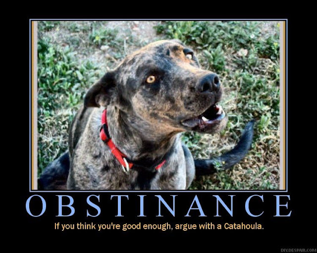 pertinacious | Vocabulary