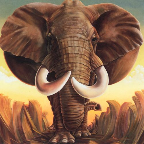 pachyderm | Vocabulary