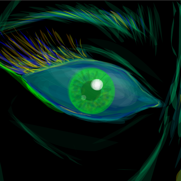 feather eyed » drawings » SketchPort