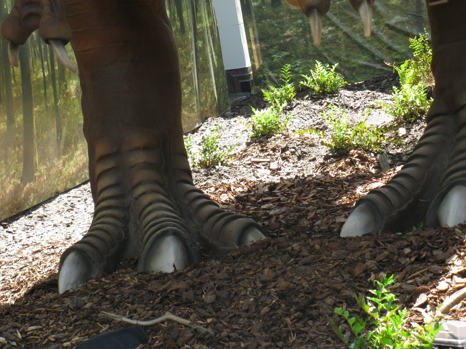 ...and chaos ensued: March 2010