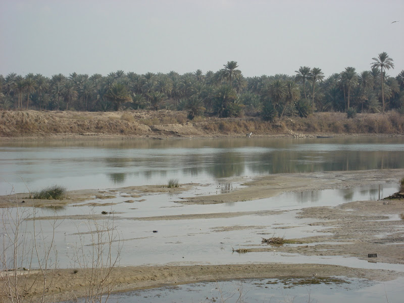 Karbala Nature - from the river to the desert | SkyscraperCity Forum