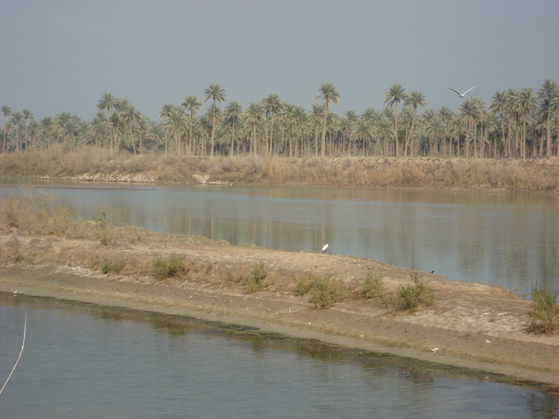 Karbala Nature - from the river to the desert | SkyscraperCity Forum