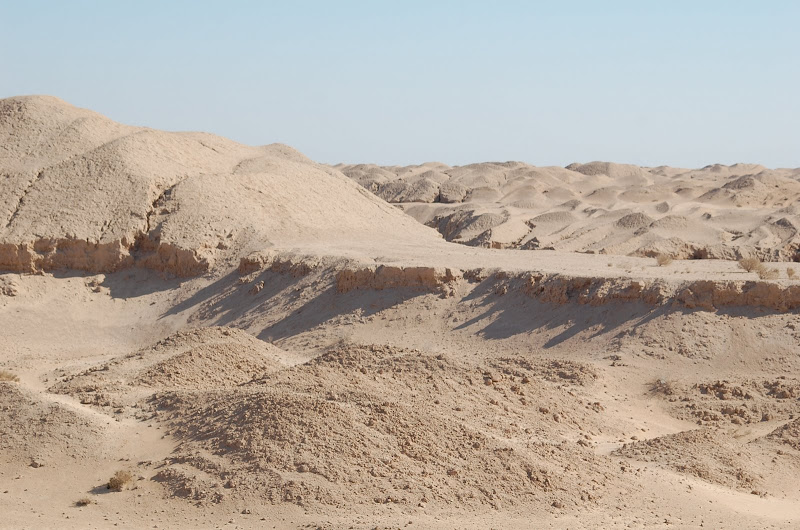 Karbala Nature - from the river to the desert | SkyscraperCity Forum