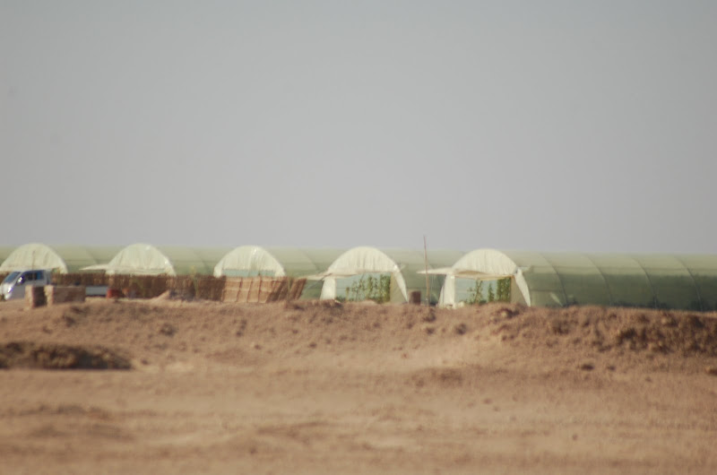 Karbala Nature - from the river to the desert | SkyscraperCity Forum