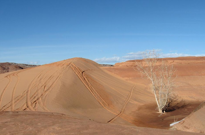 White Wash Sand Dunes, Moab UT, 2007, 2008