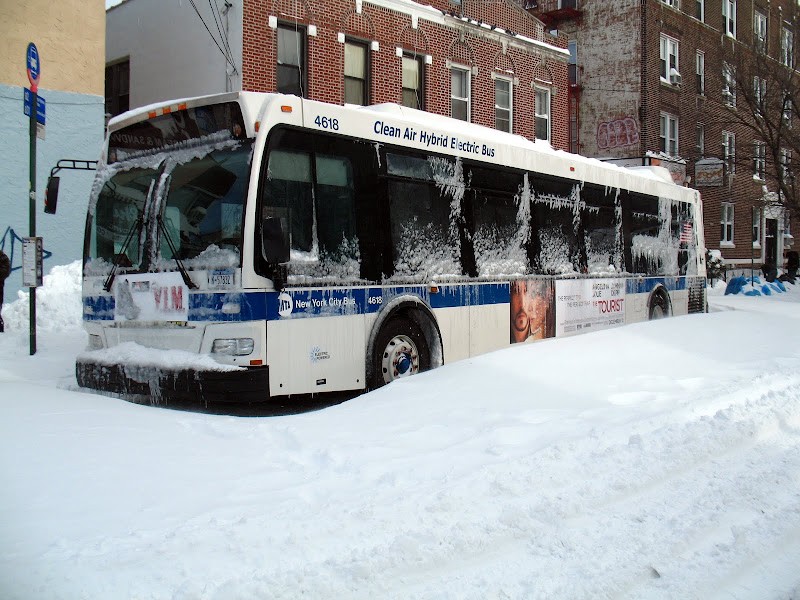 PHOTOS: Frozen Buses on Quentin Road
